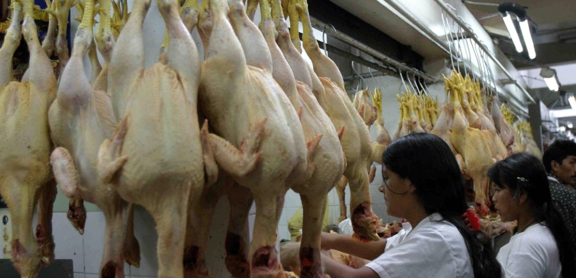 La APA se pronuncia ante proyecto de exoneración del IGV para los ...